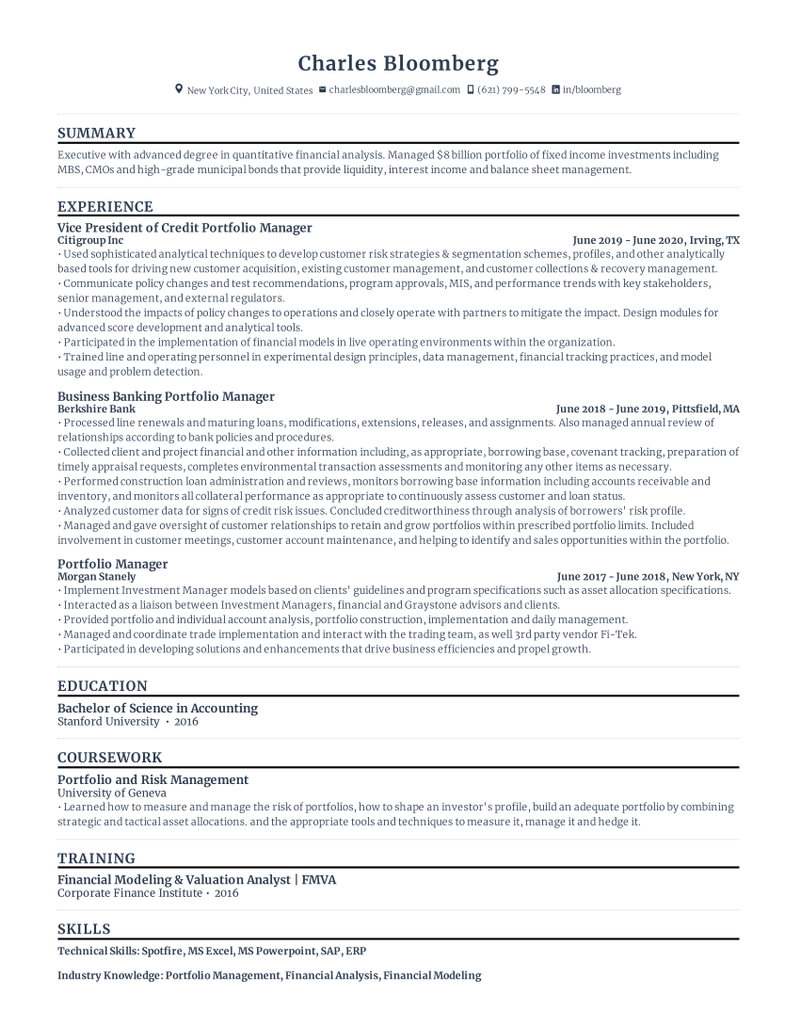 Rezi Portfolio Manager Resume Template