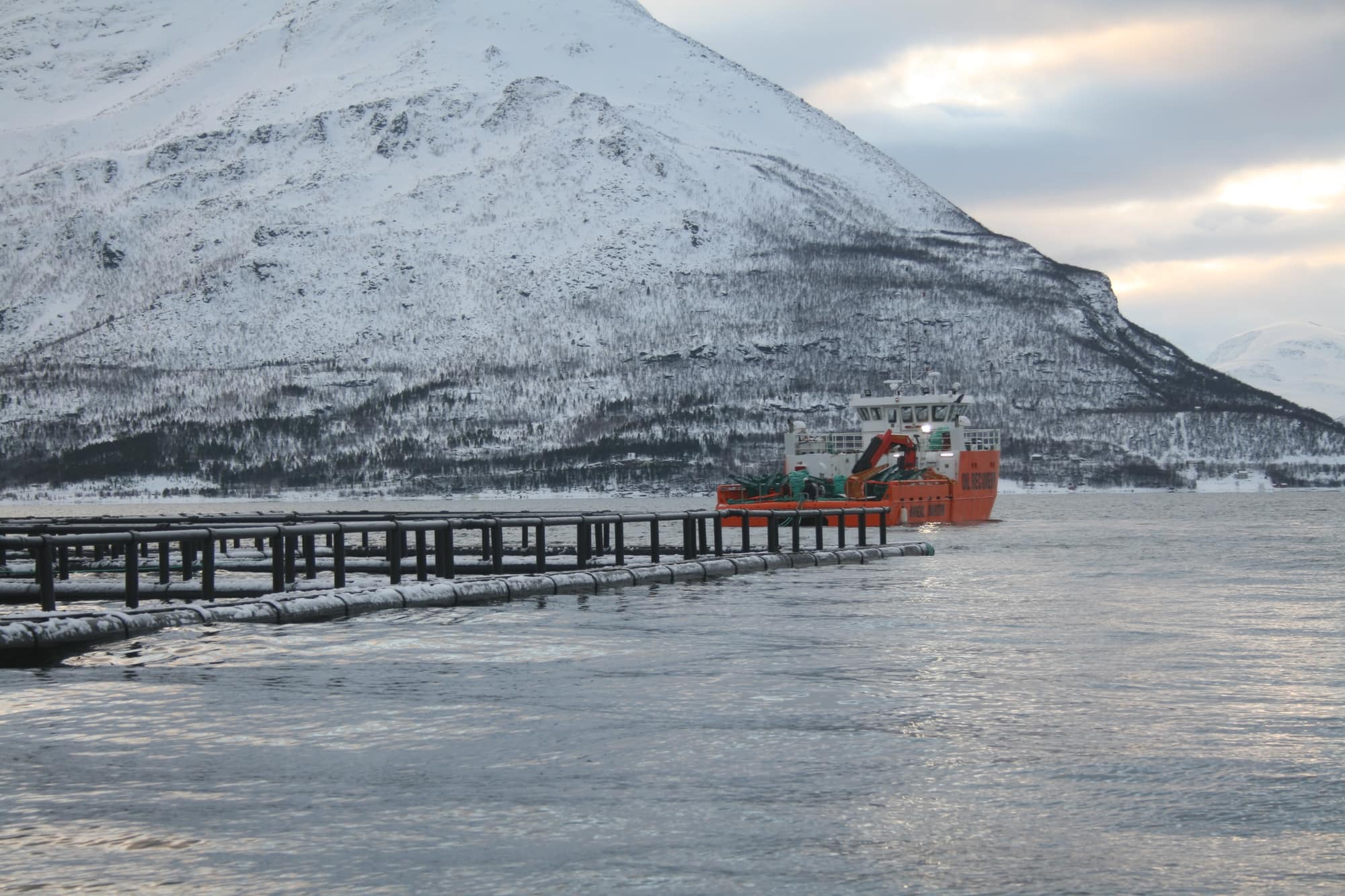 Ocean Industries - an increasingly important segment