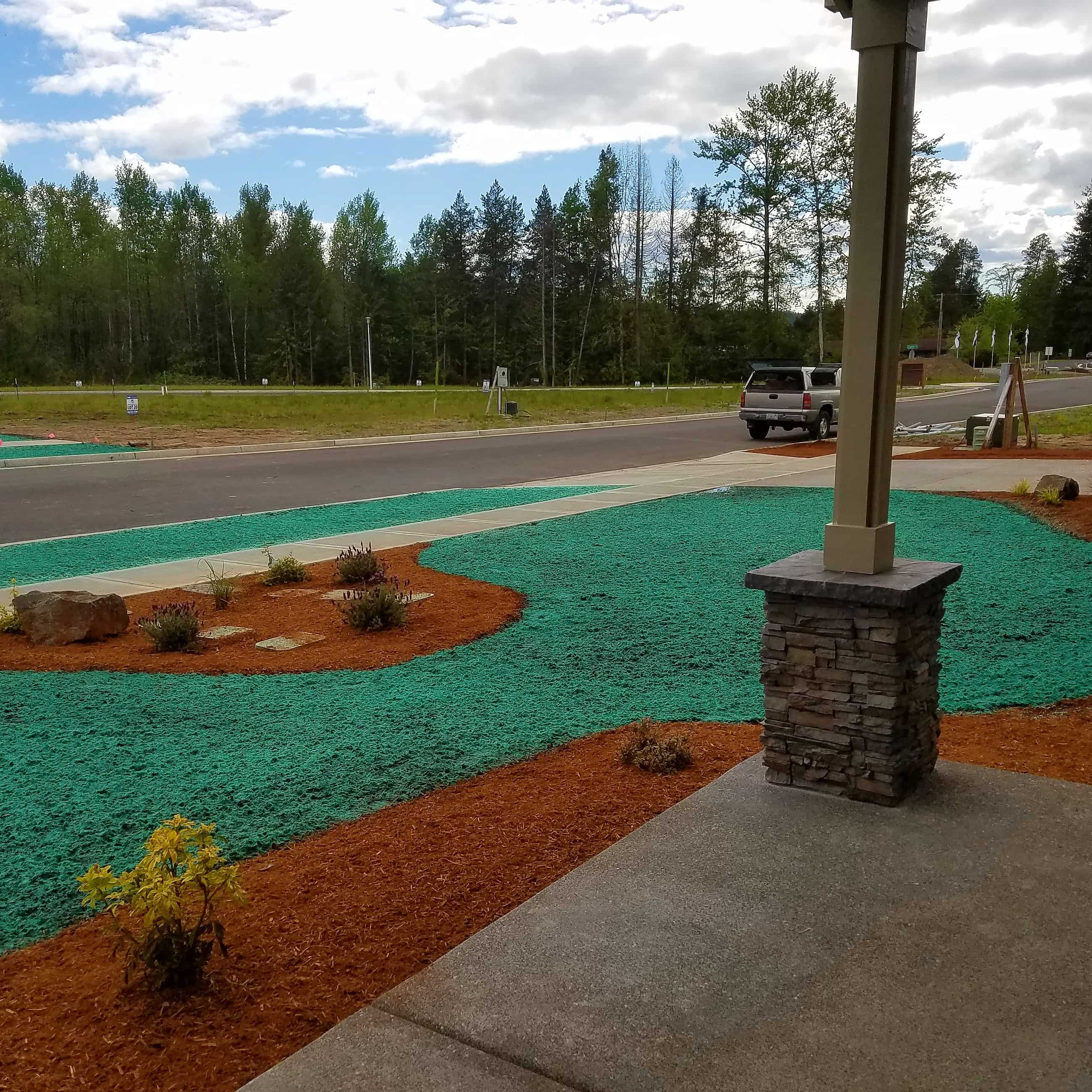 Residential Hydroseed and Landscaping