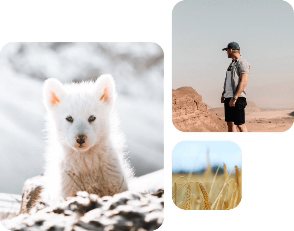 Optily - Webflow Image Optimization made easy