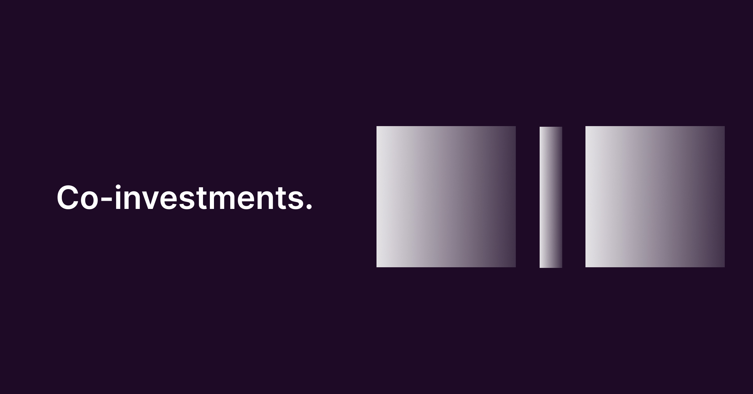 What are co-investments in private equity?