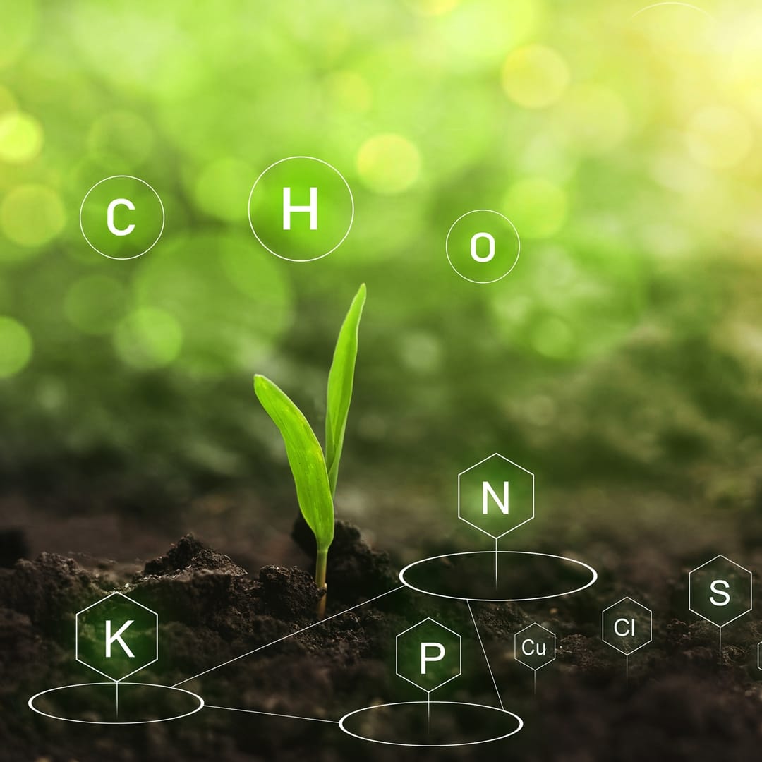 RxLocal Mobile App + Suite | Powered by PioneerRx