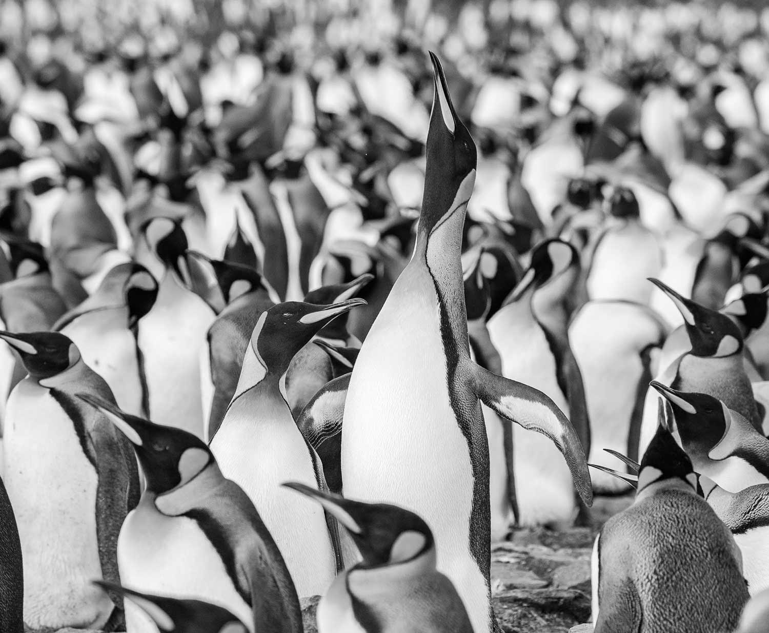 How To Find A Value Proposition That Makes You Stand Out BRACT Agency