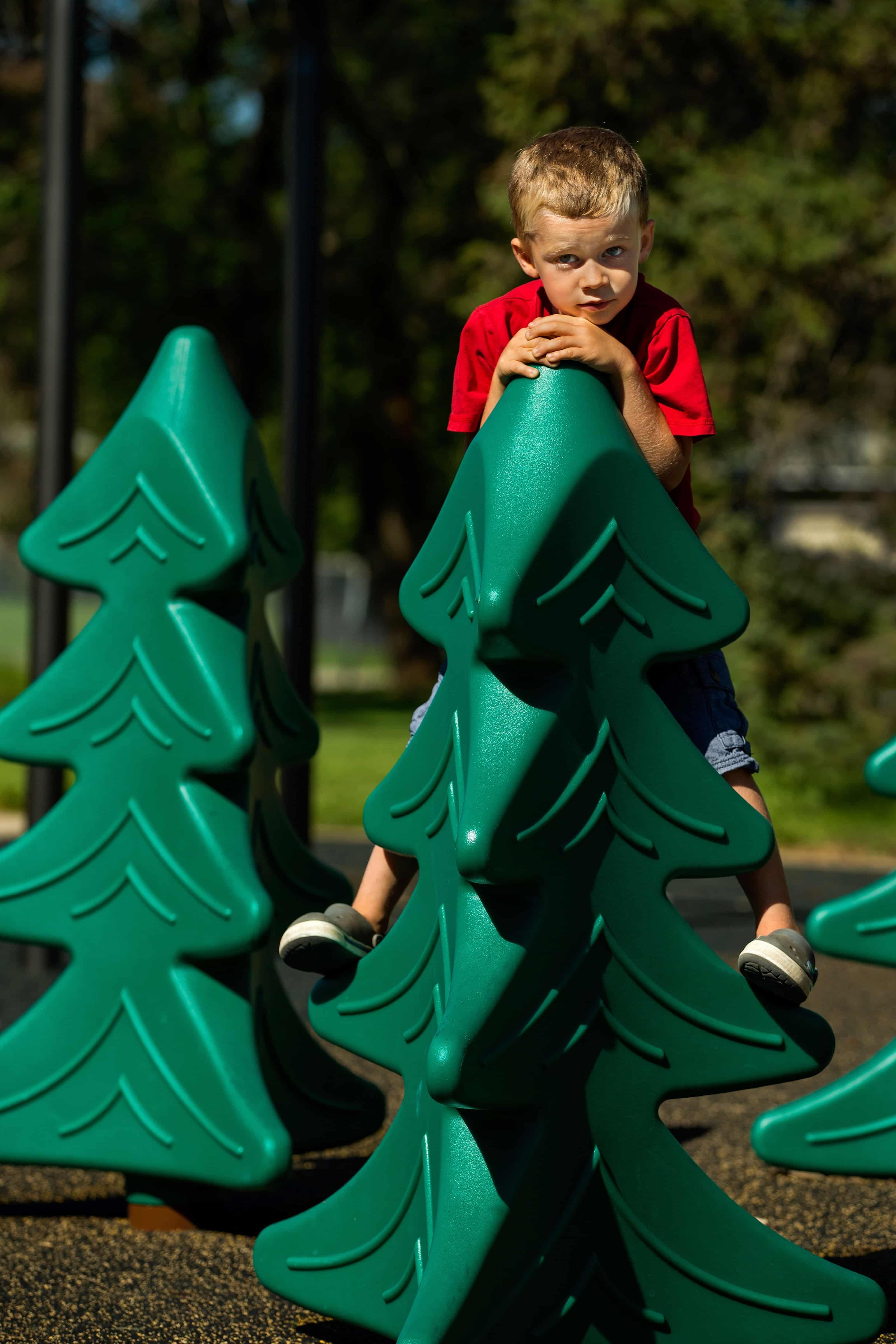Lendrum "Honey Bee" Themed Park (Edmonton, AB) | Park N Play Design