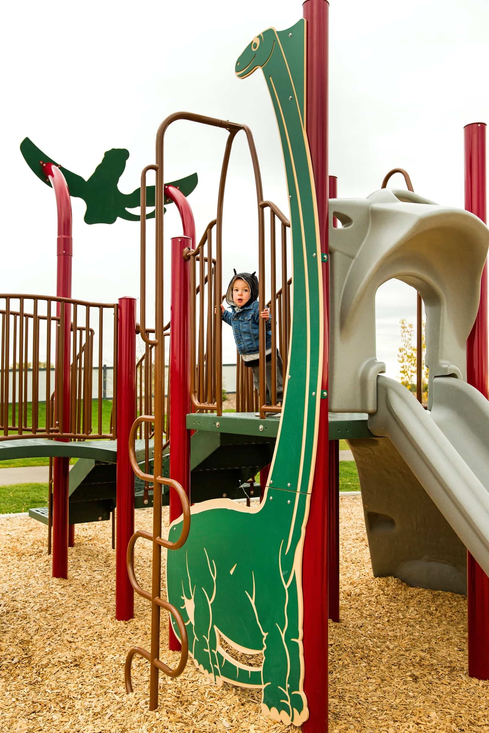 Meadowview Dinosaur Park (Leduc, AB) | Park N Play Design