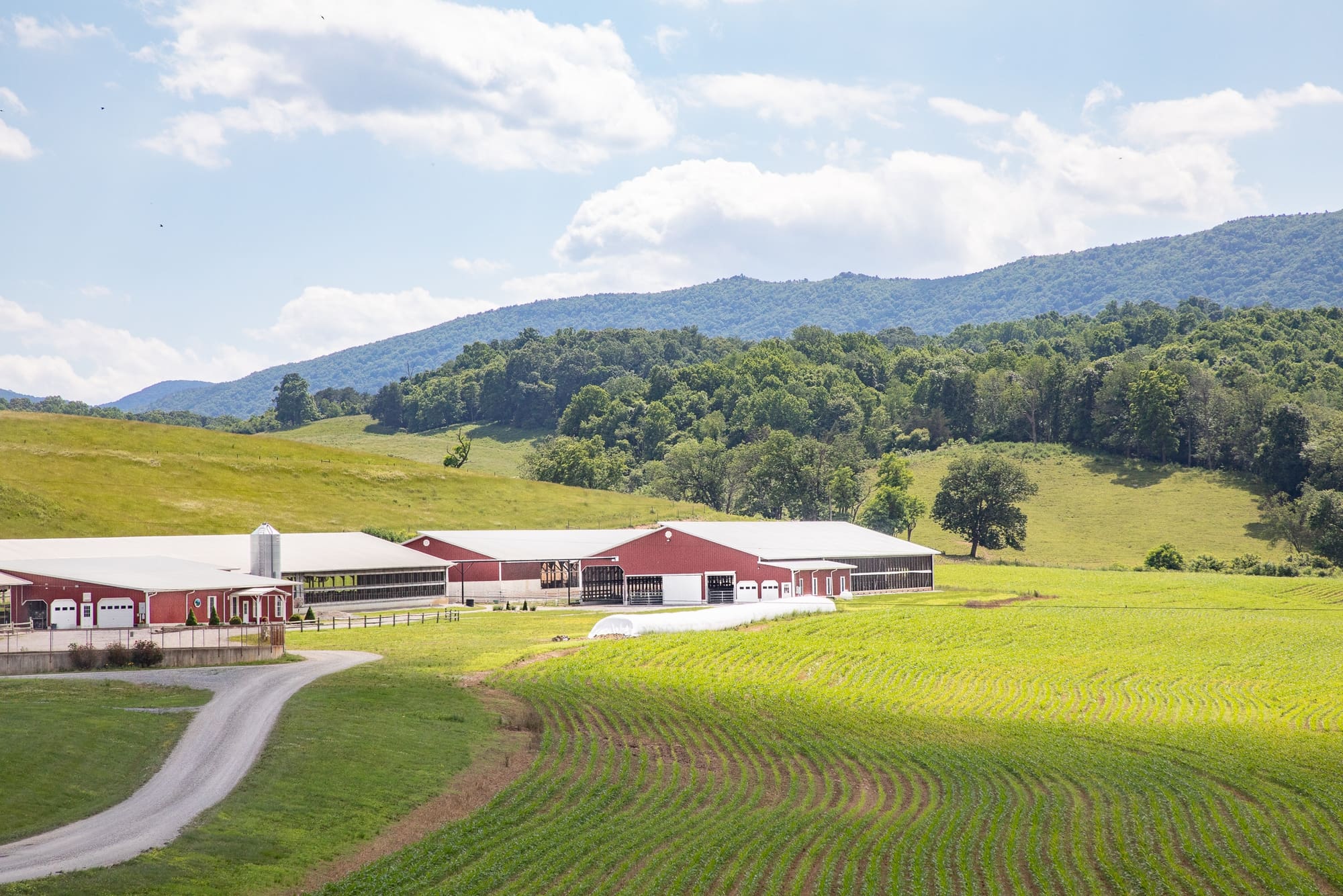 Gallery of Projects- County-Line Construction