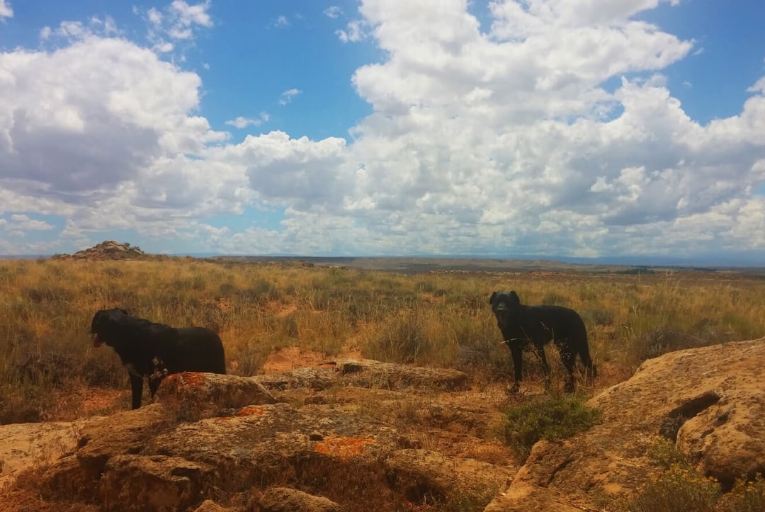 Exploration - Christopher Bartel - The Skinwalker Ranch Portfolio