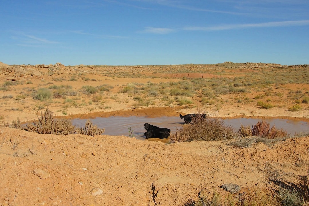 Vision - Christopher Bartel - The Skinwalker Ranch Portfolio