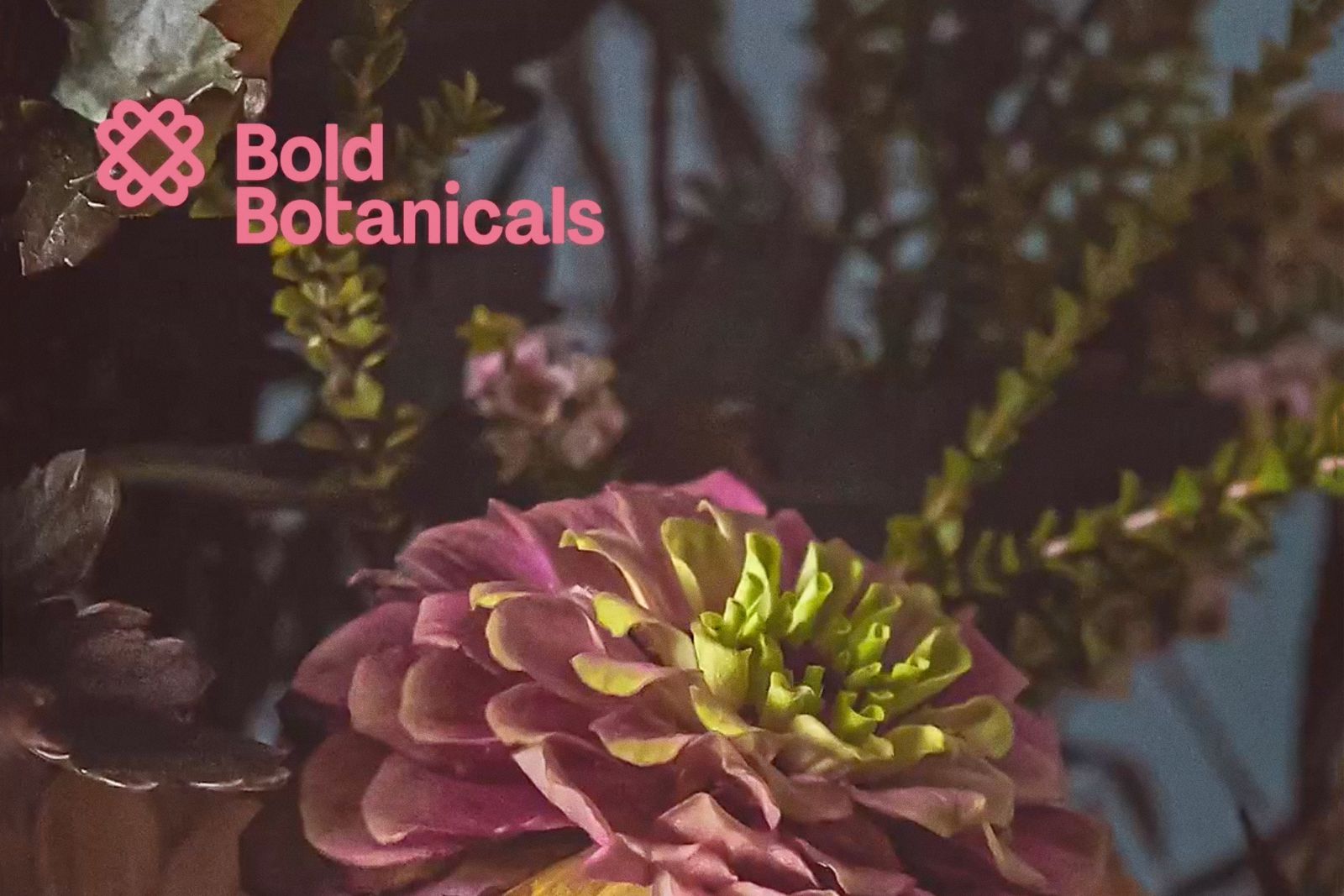 Bold Botanicals | Why? Design