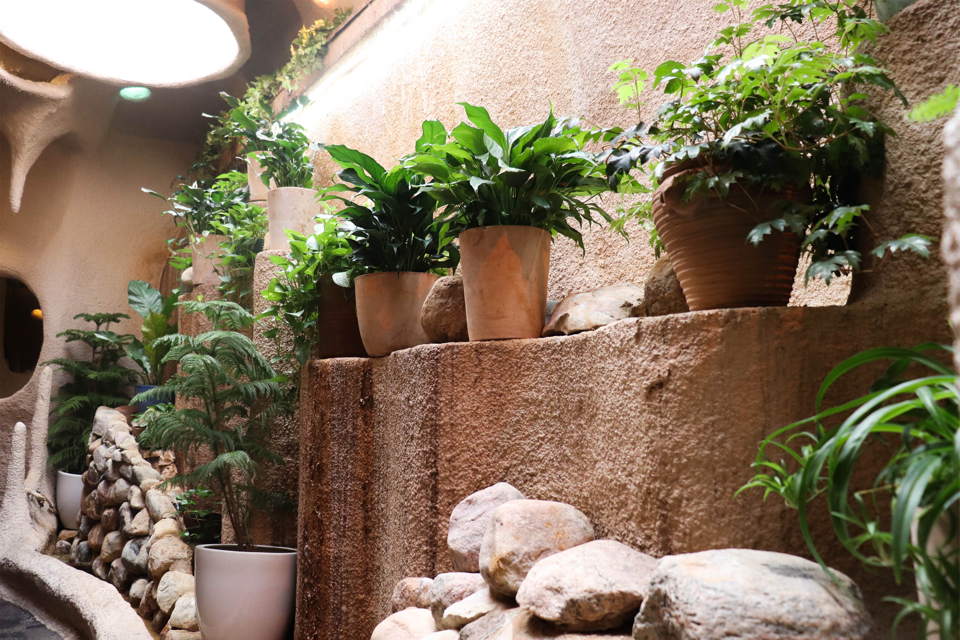 Explore The Cave | The Cave Restaurant