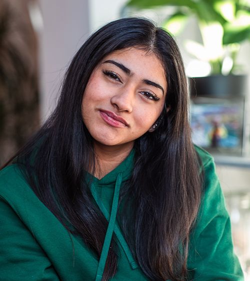 Our Products | Springpod