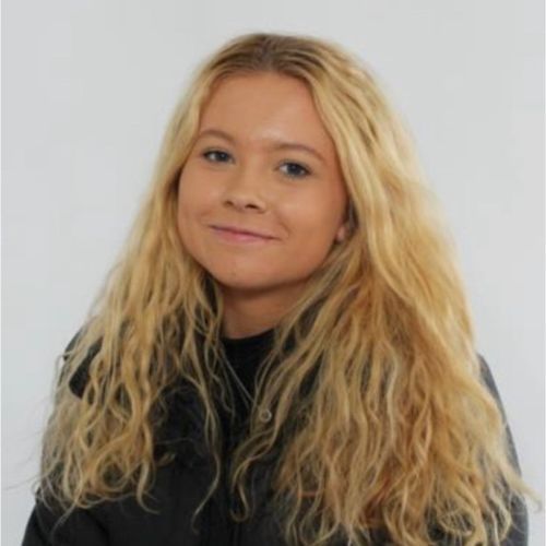 Apprentice stories | Springpod