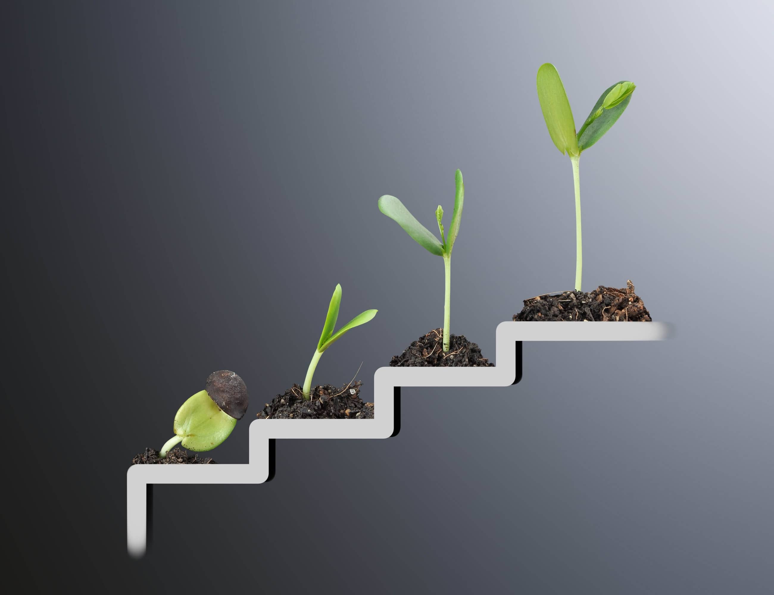 ABA Data Collection: Methods, Tips & Tech