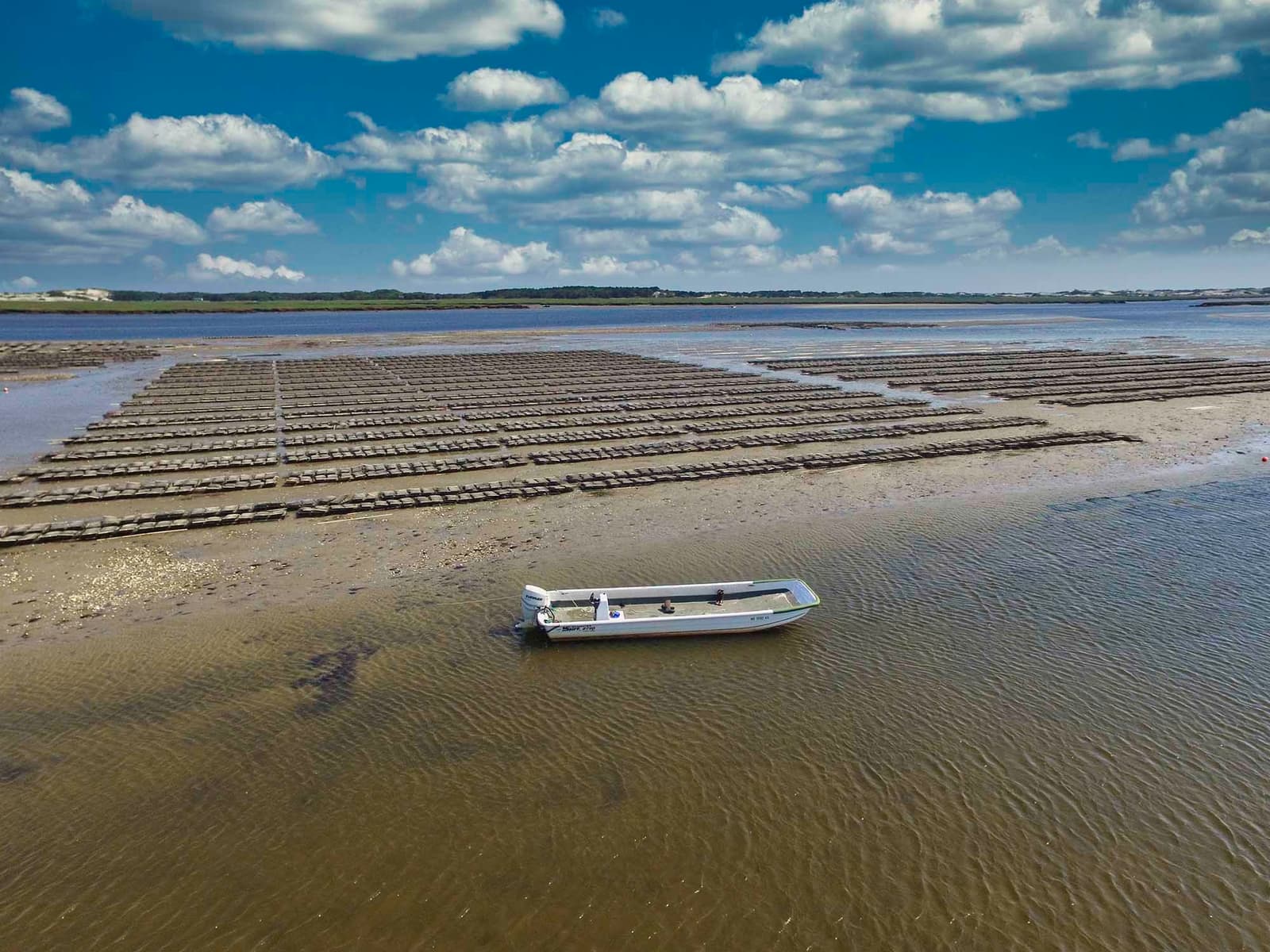 Barnstable | Cape Cod Oyster Company