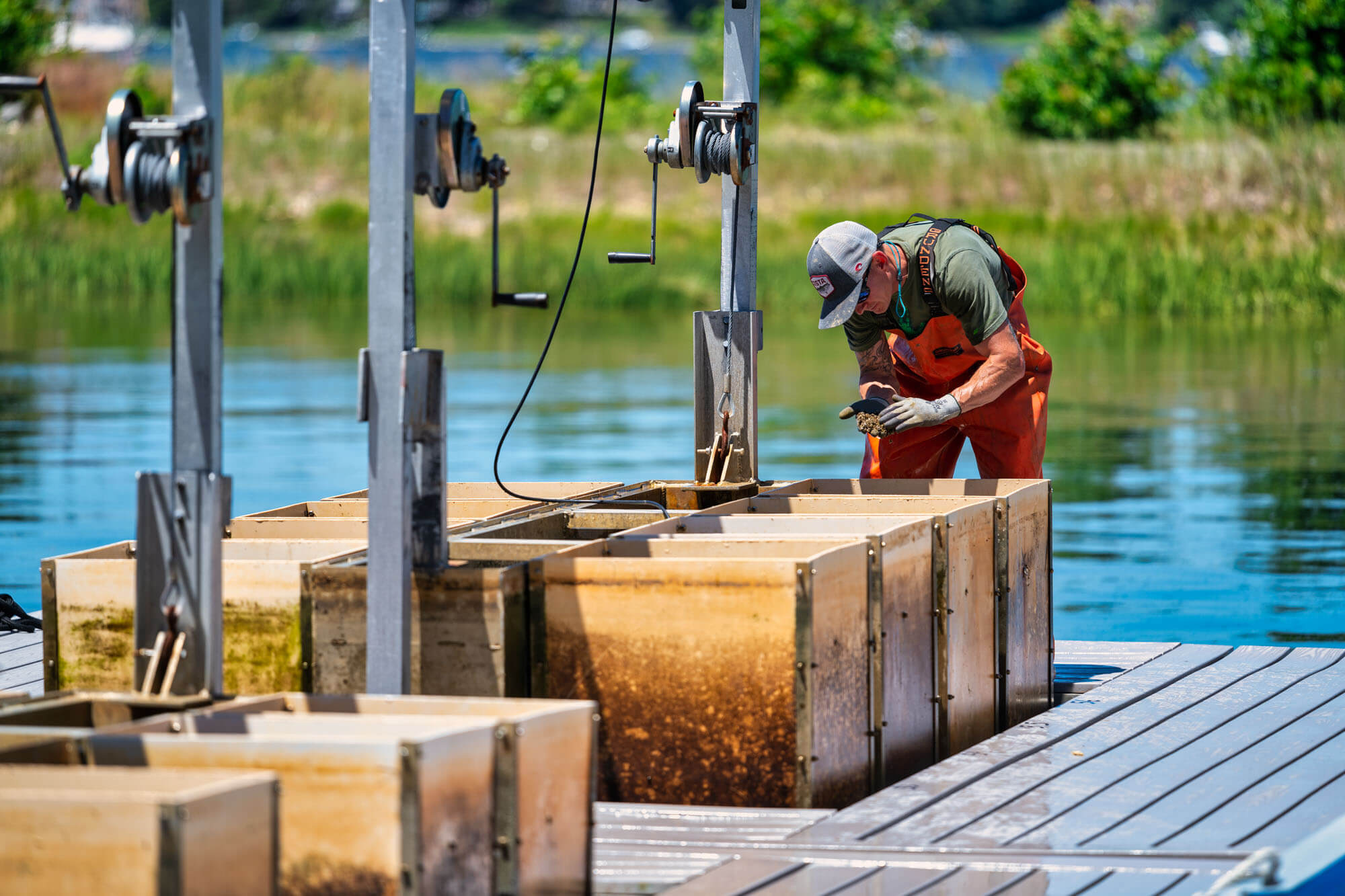 Commitment | Cape Cod Oyster Company