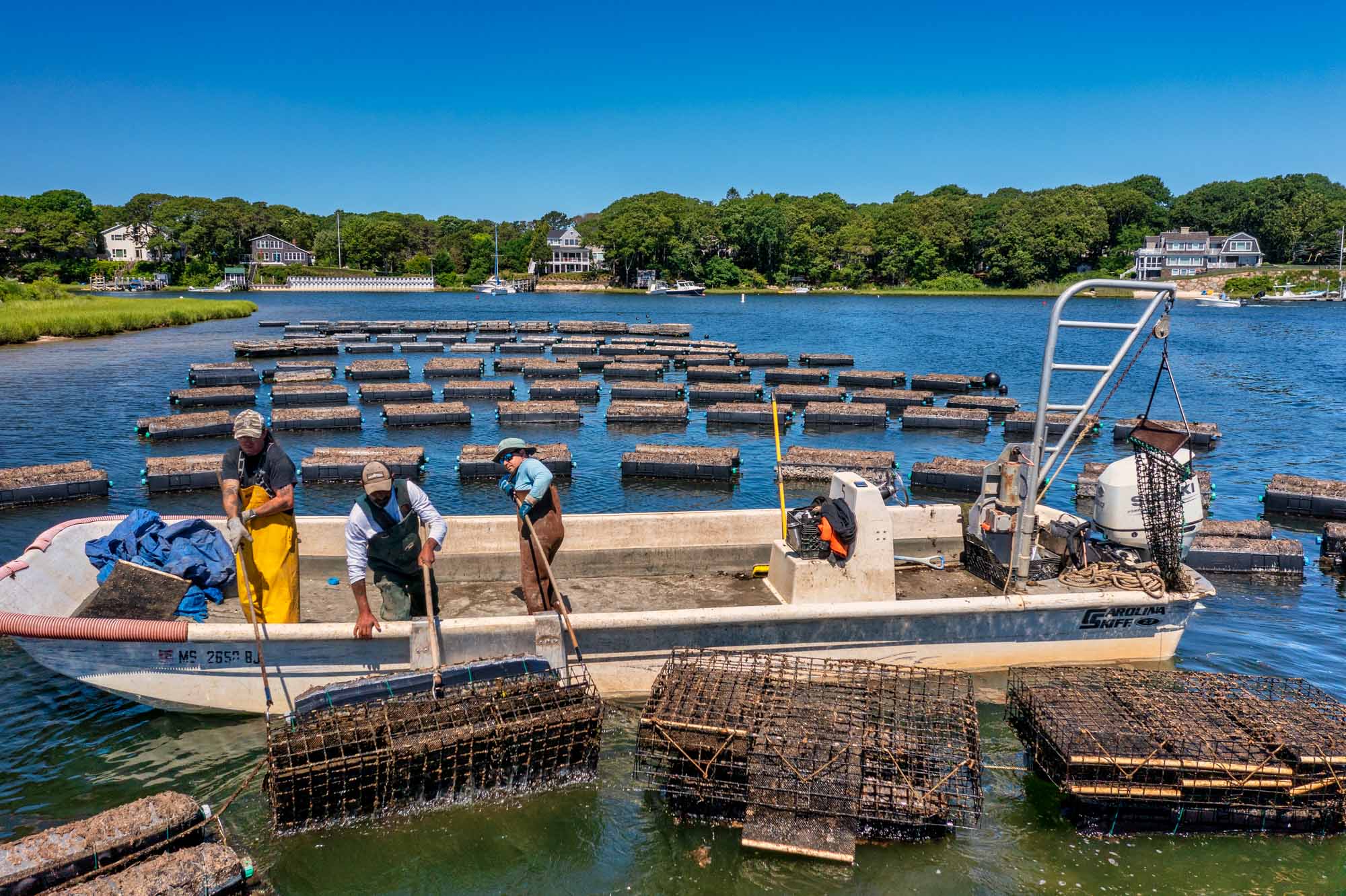 Cape Cod Oyster Company