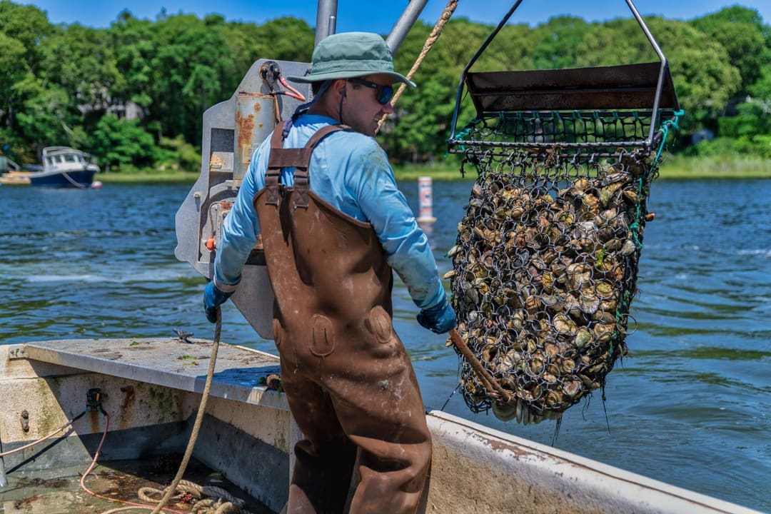 About | Cape Cod Oyster Company