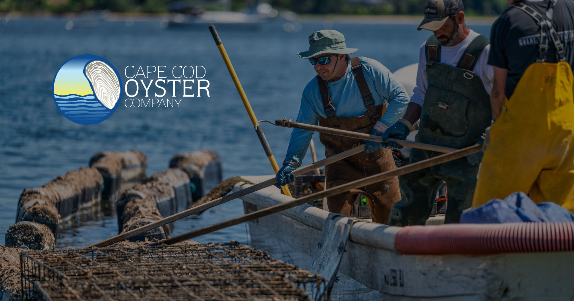 Cape Cod Oyster Company