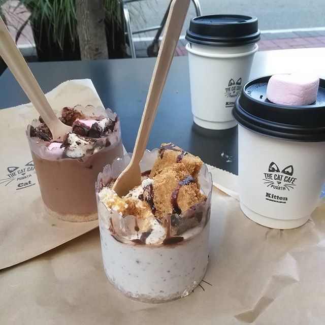 The Cat Cafe Purrth | Perth Underground