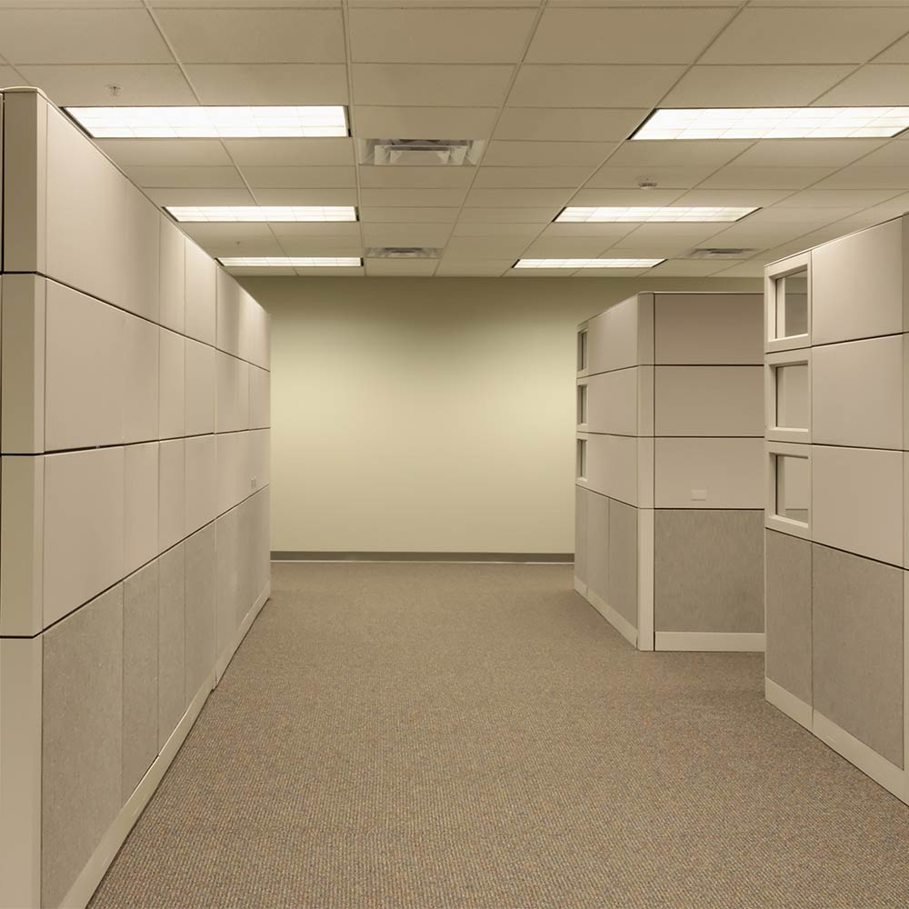 Professional Carpet Cleaning in Argyle, TX | Lloyd Carpet Cleaning