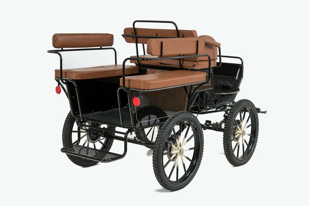 Chinese Horse Carriages | World Class Carriages