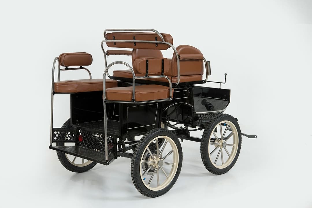 Chinese Horse Carriages | World Class Carriages