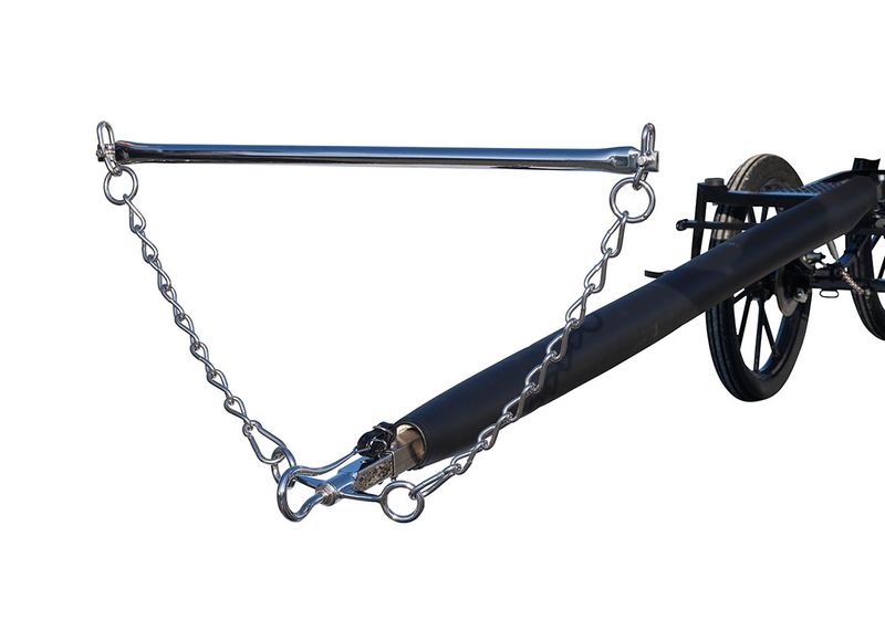 Training & Wagonette Carriages | World Class Carriages