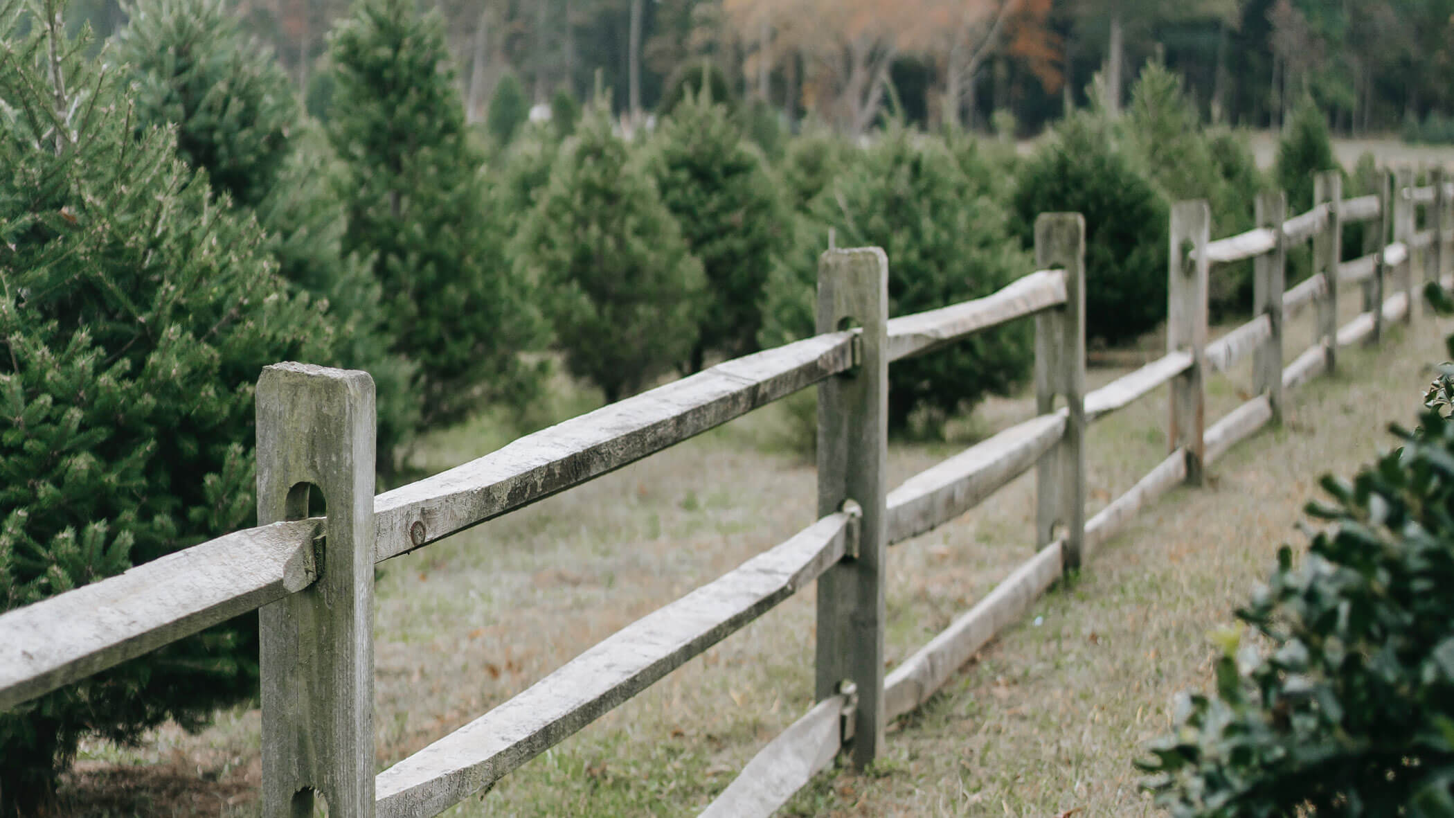 RURAL, FARM AND LIFESTYLE FENCING | KOS Fencing