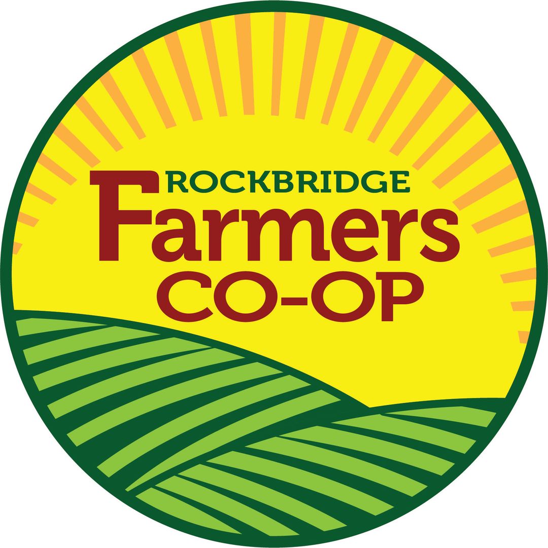 Experiences and Activities - Weddings