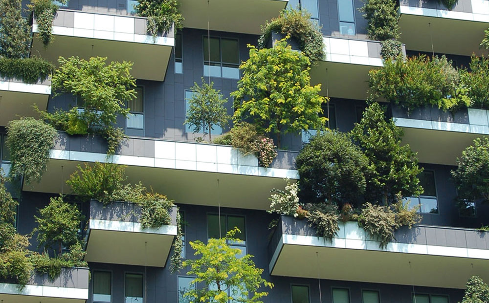 How to define roles and responsibilities for your ISO 14001 EMS