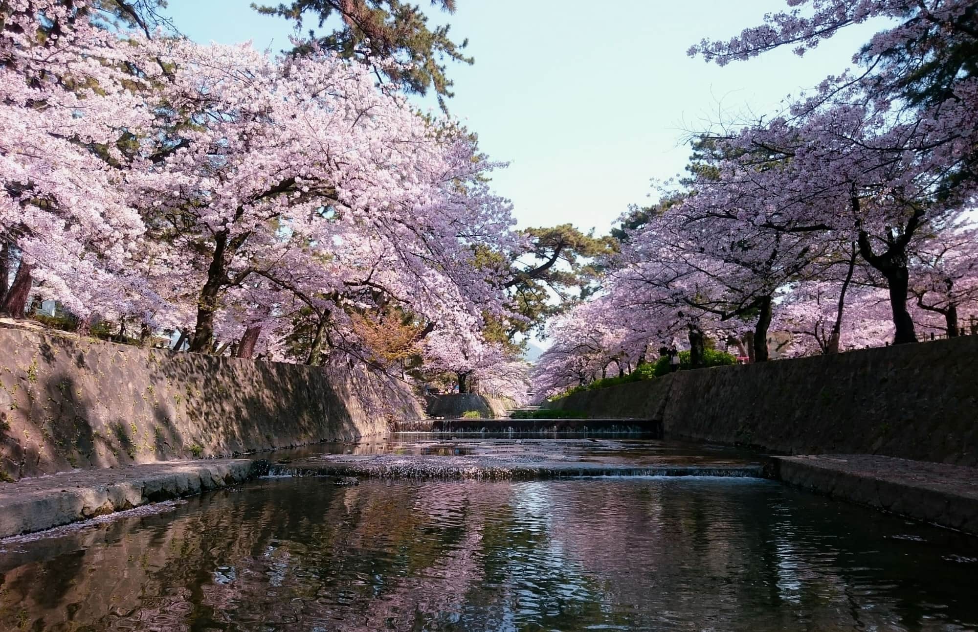 Hyogo Cultural Centre - Perth Western Australia