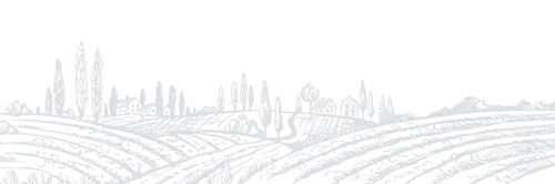 AgriFiber – Multifunctional Fiber Upcycled From Plant Extracts