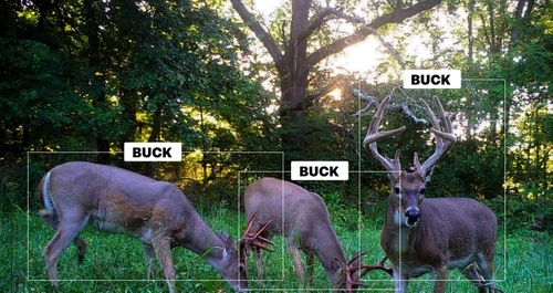 DeerLab's Trail Camera App - Works with All Cameras