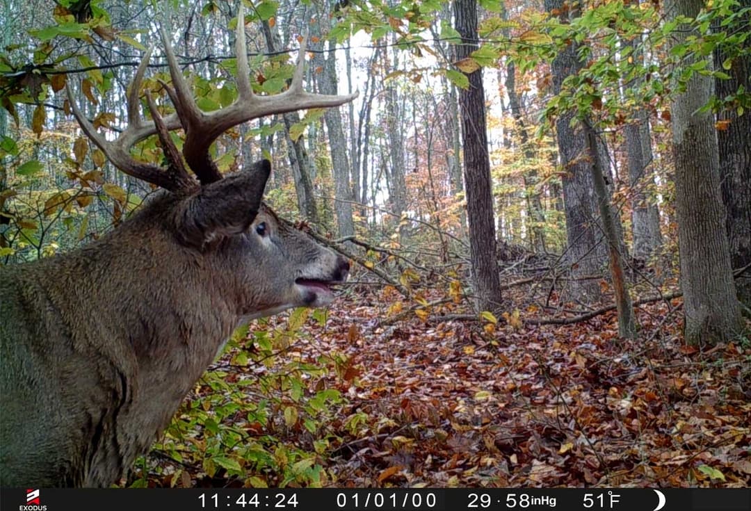 DeerLab's Trail Camera App - Works with All Cameras
