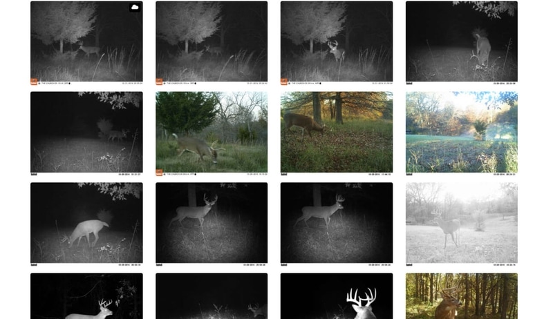 DeerLab's Trail Camera App - Works with All Cameras