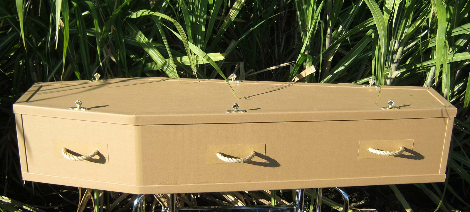 Gallery - Dolphin Funerals | Murwillumbah NSW