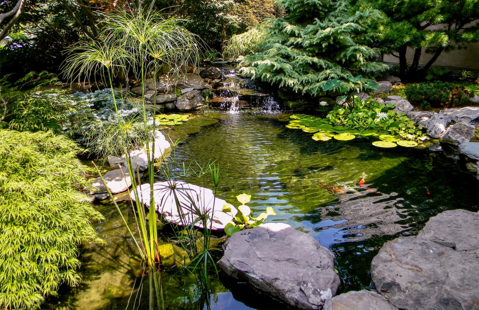 Aquatic Habitats — Projects