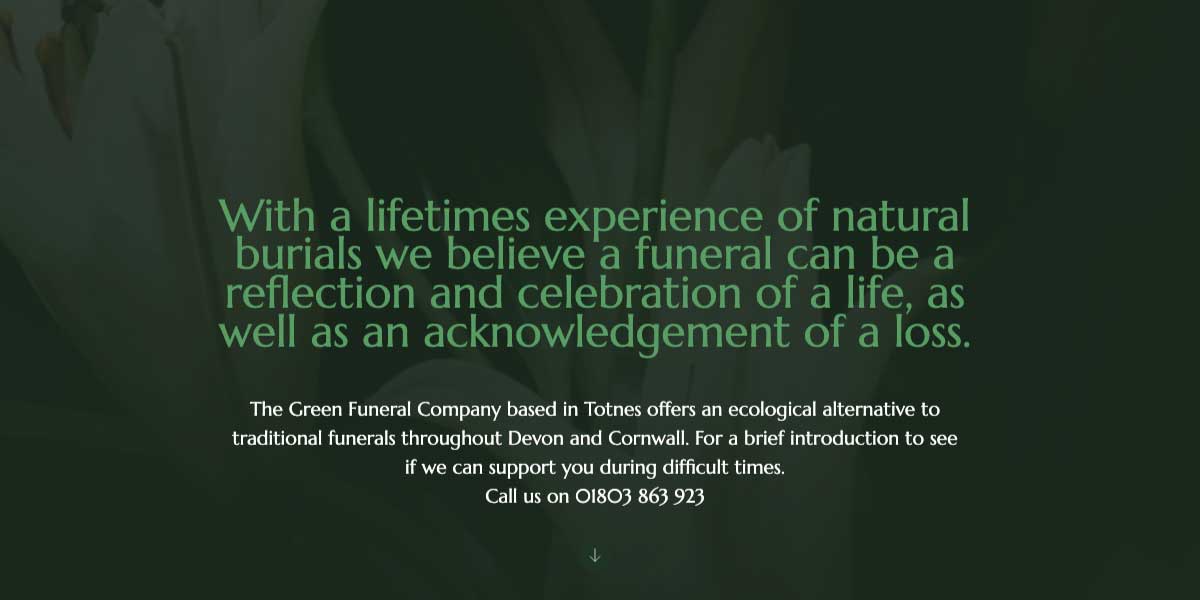 The Green Funeral / Get in Touch