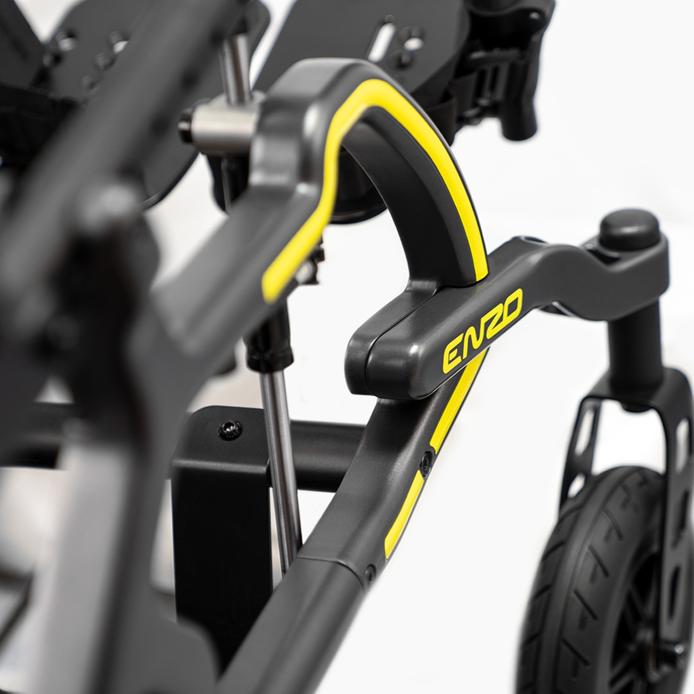 Legend Portfolio: Enzo