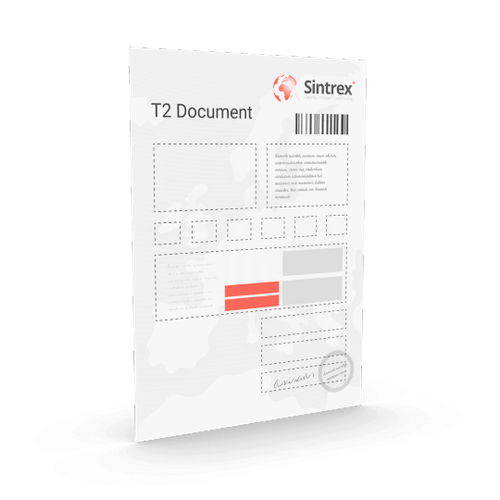 T1 Document | Sintrex