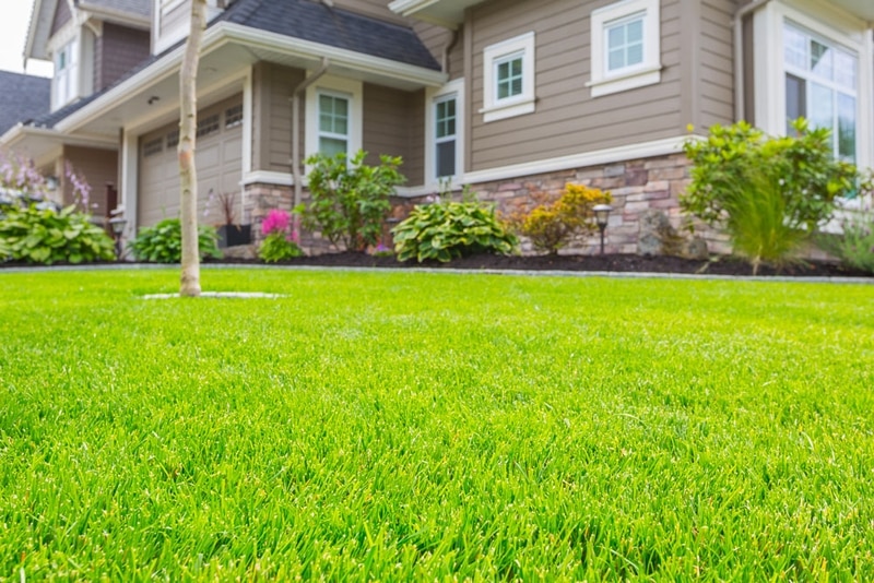 Complete Residential & Commercial Lawn Care in Martinez, GA | Trinity ...