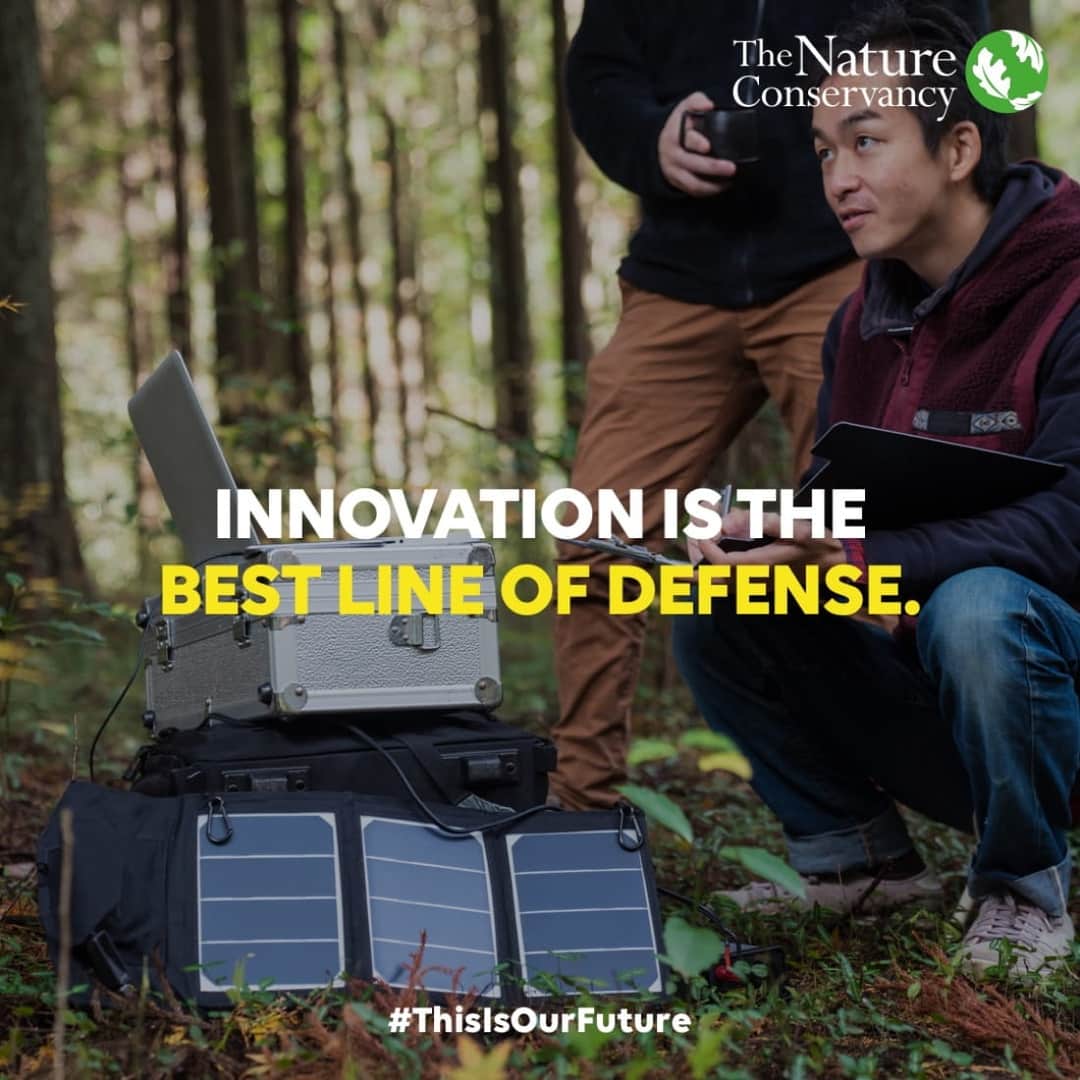 The Nature Conservancy - Savage Bureau