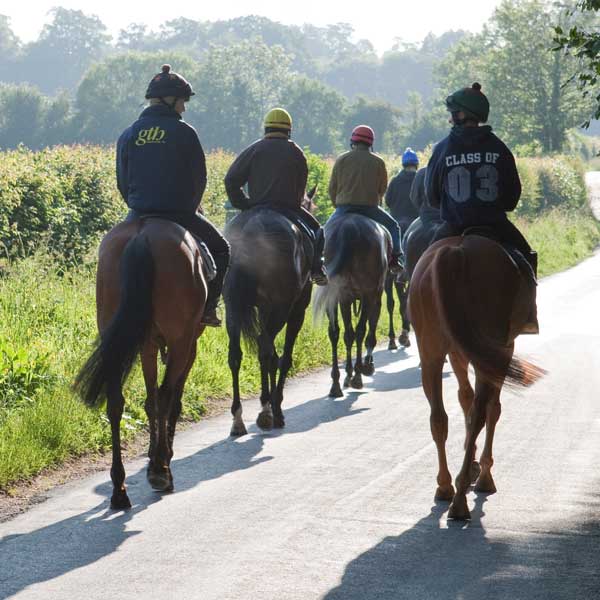 Things to do in Tetbury | Visit Tetbury Town