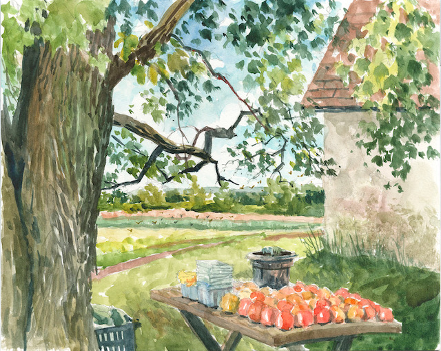 ArtTalk – The Watercolors of Jane Ramsey - Phillips' Mill Events