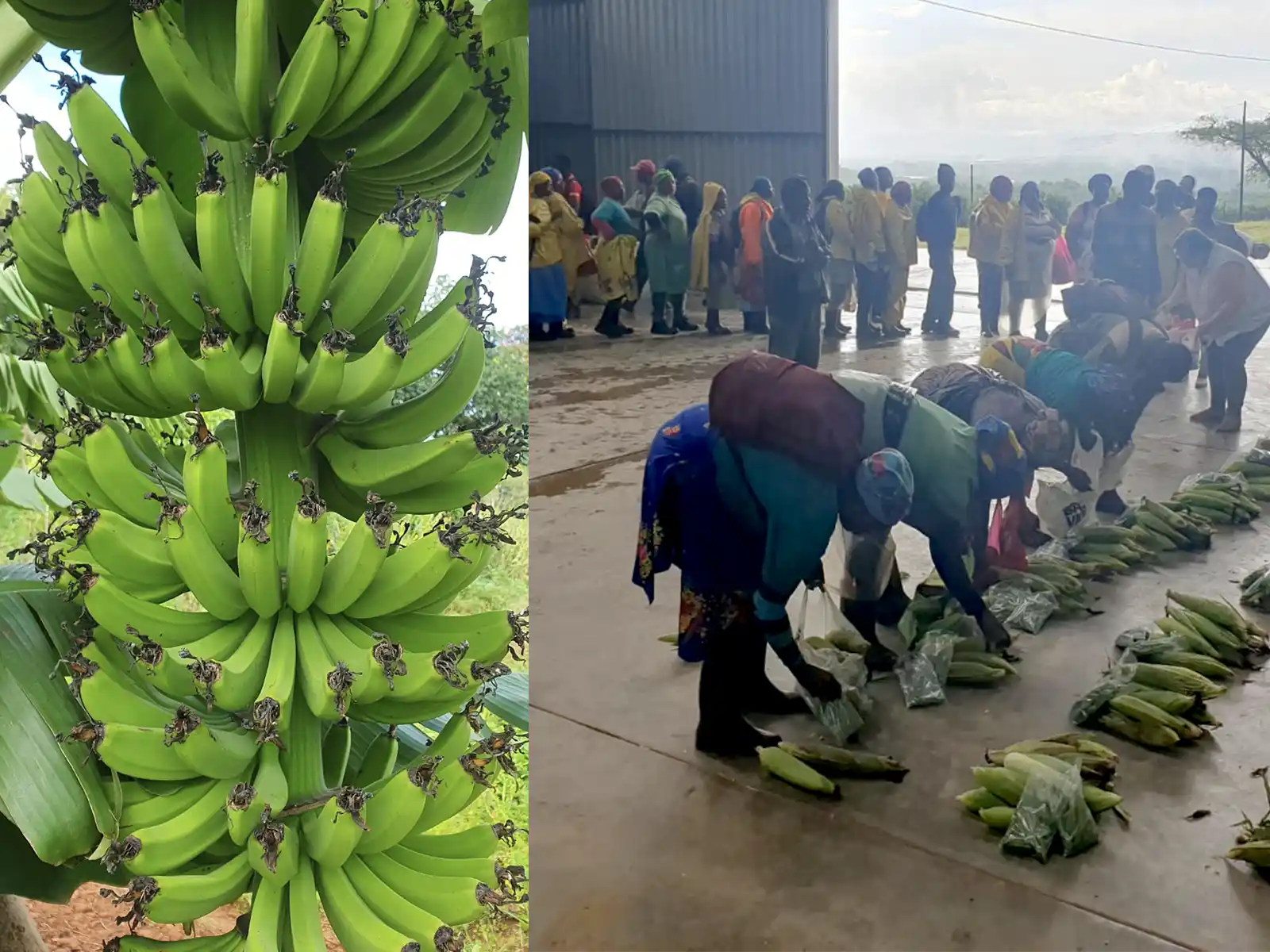 Welmac BV - Newsletter Q1 2023