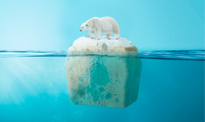 FoodCloud: Food waste hurts our planet