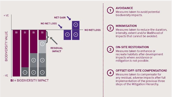 Biodiversity Net Gain | S106 Management