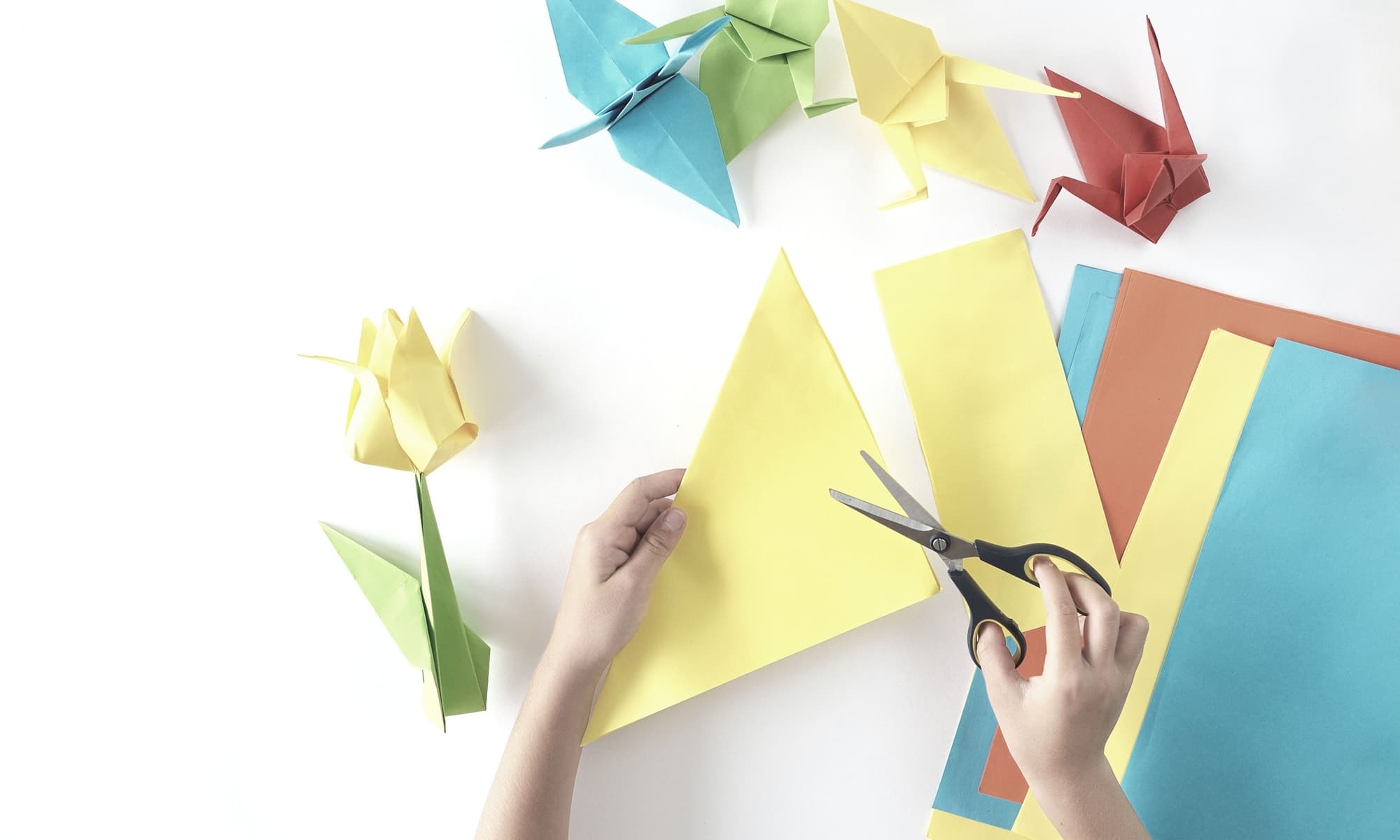 Enhance your employability skills… by making origami?!