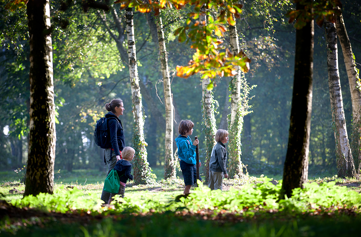 Bulskampveld wandelroute | Visit Beernem