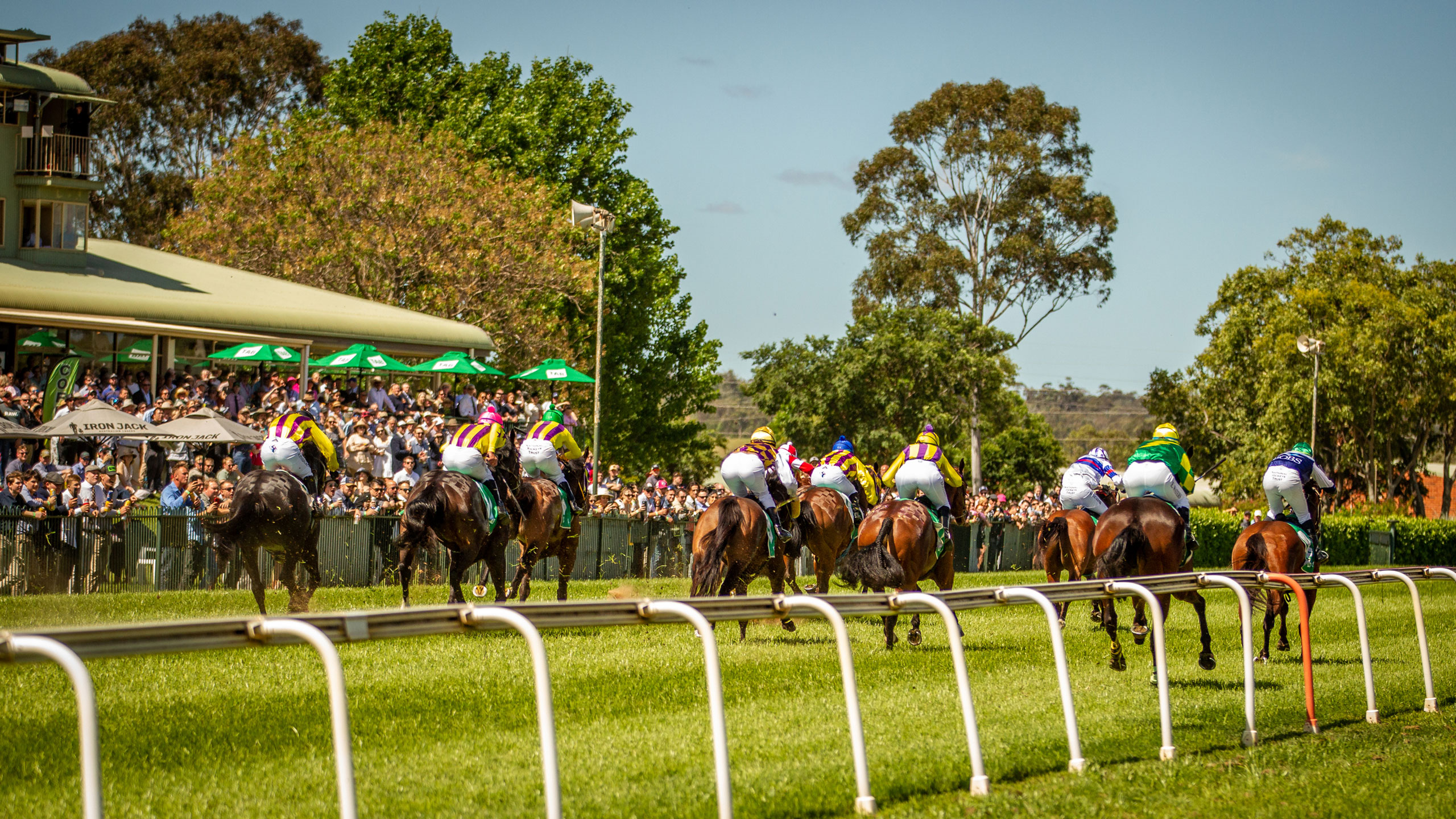 Dubbo Turf Club | Western NSW Class Leading Racing & Training Facility